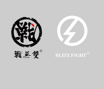 BLITZFIGHT BLOG - Latest Updates & Strategies